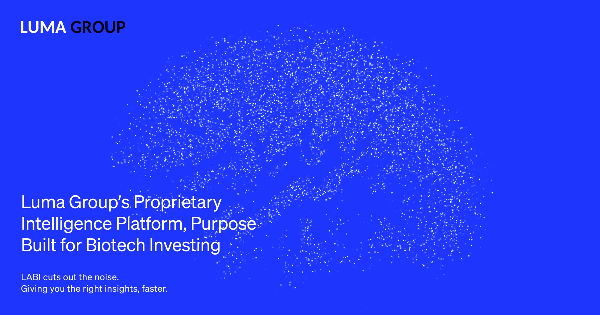 LABI - LumaGroup